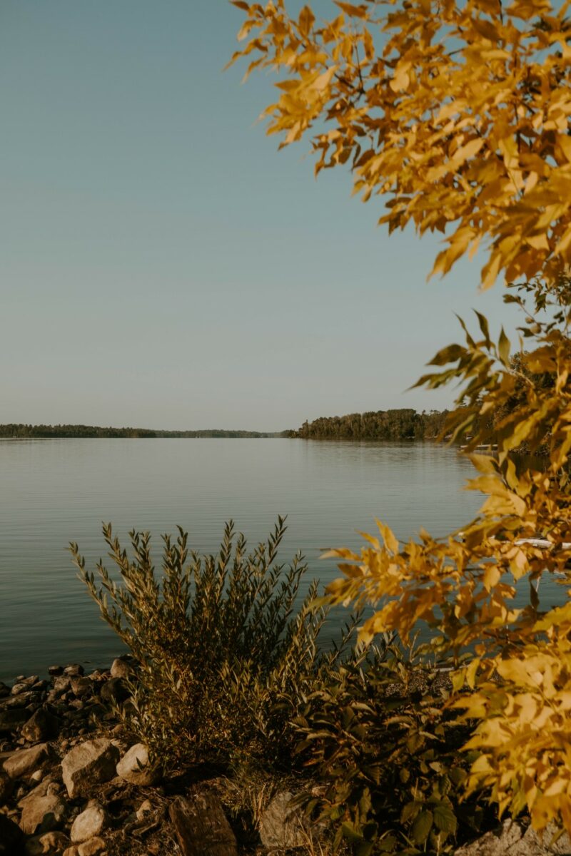 Image Gallery - Silver Rapids Lodge