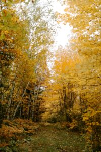 Image Gallery - Silver Rapids Lodge