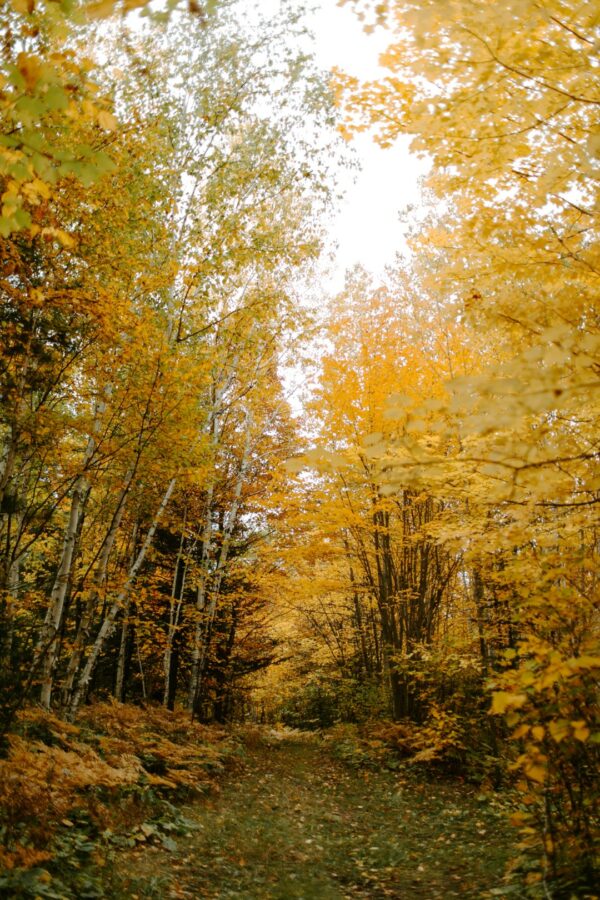 Image Gallery - Silver Rapids Lodge
