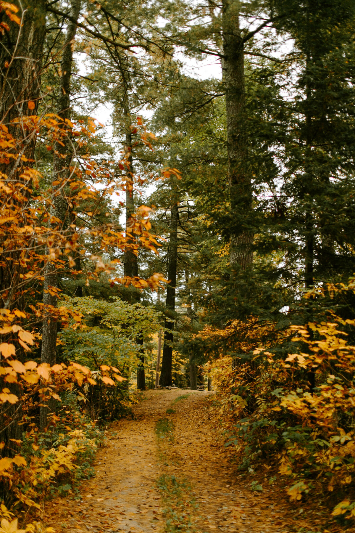 Image Gallery - Silver Rapids Lodge