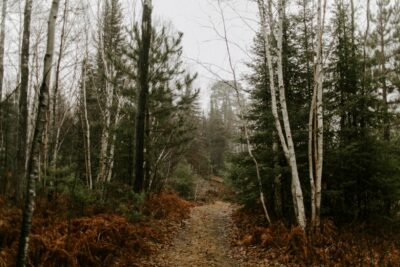Image Gallery - Silver Rapids Lodge